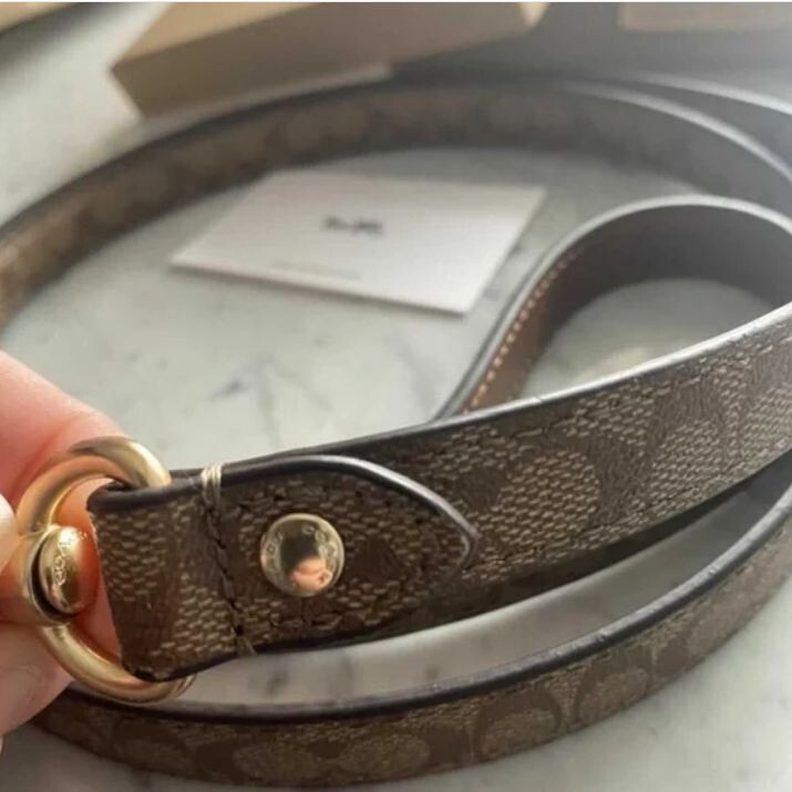 New Coach Dog Collar Signature Kahki/Brown #CH144 + Similar Matching ...