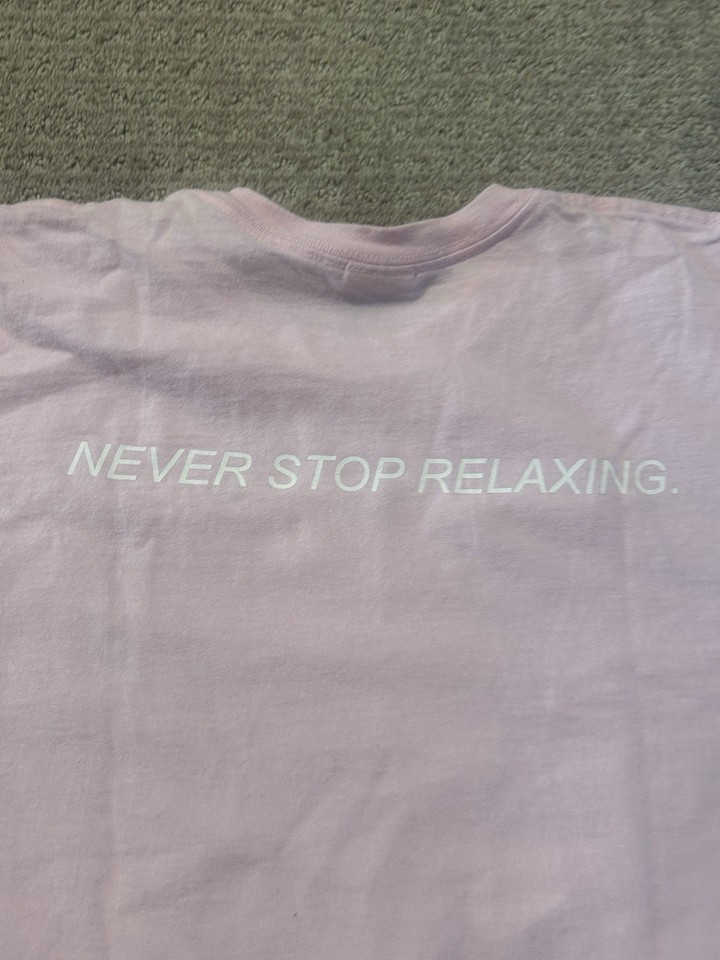 Vintage Comedy T-shirt Size XL The South Butt Missouri USA Pink Gildan ...