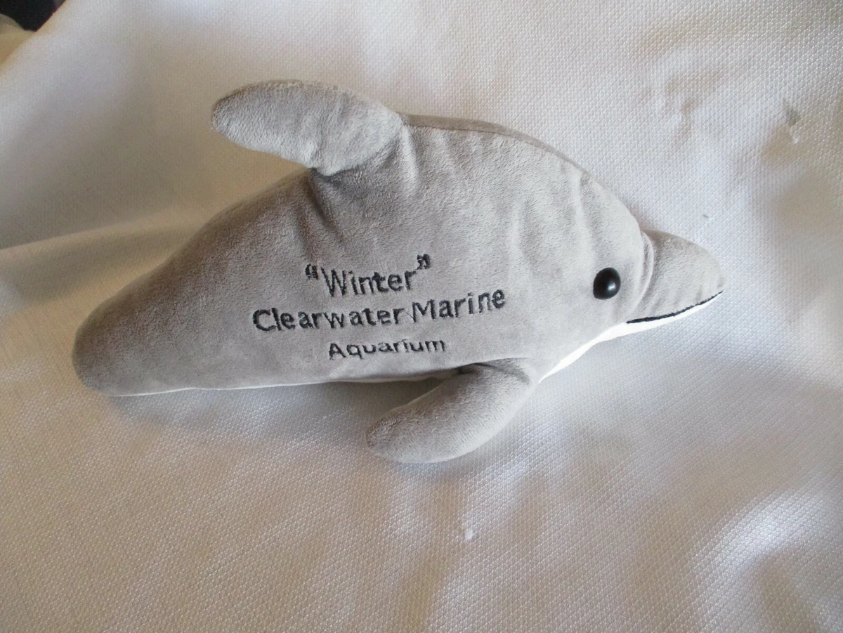 Winter Dolphin Tale Toys