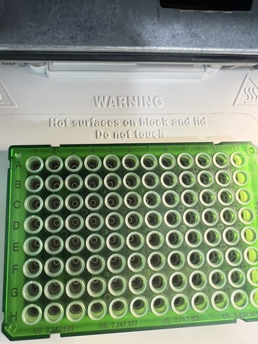 Eppendorf Flexlid Mastercycler Nexus Eco 6332 PCR Thermal Cycler | eBay