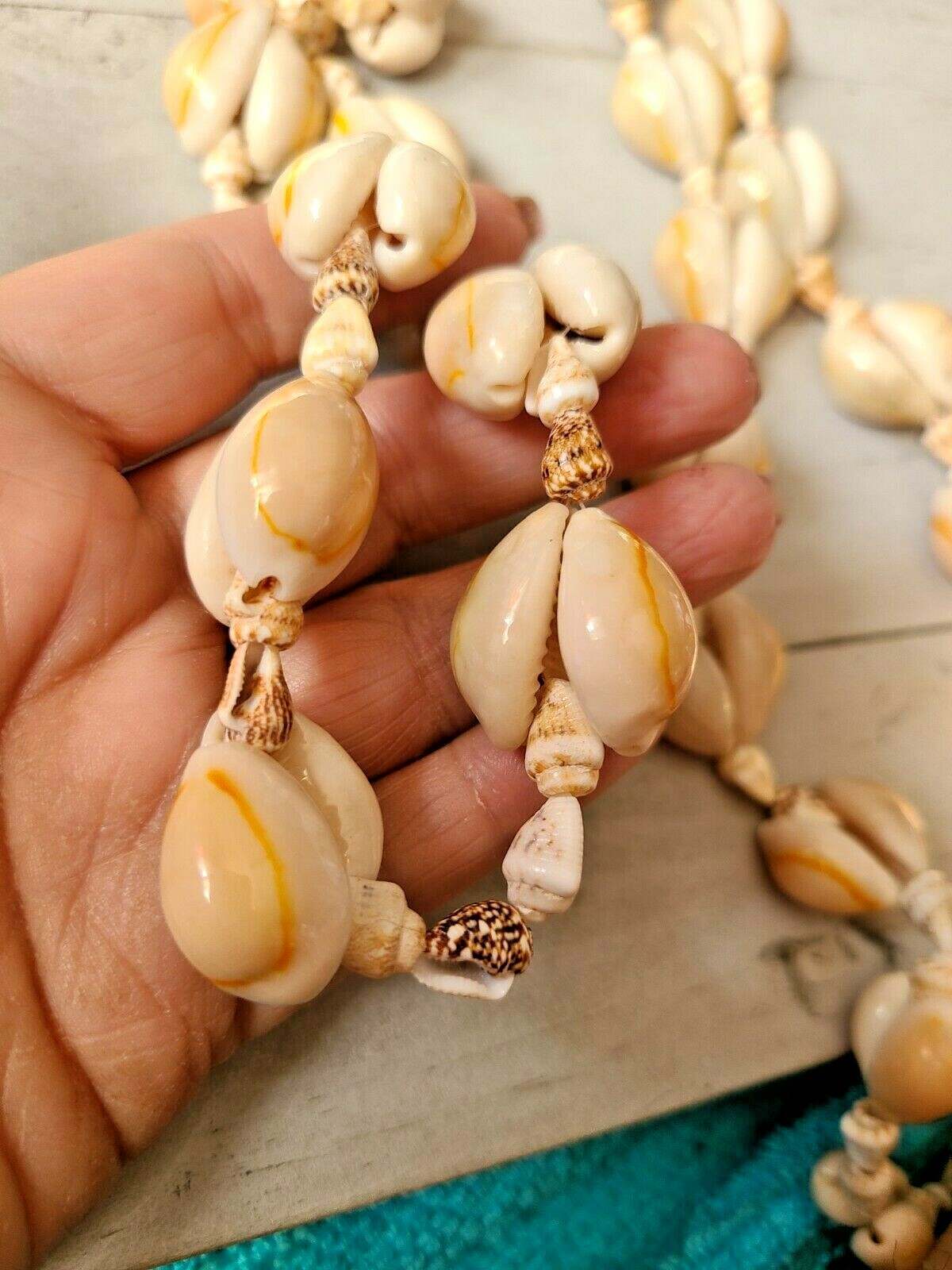 Beautiful LONG Seashell Cowrie Shell Necklace Doublin… - Gem