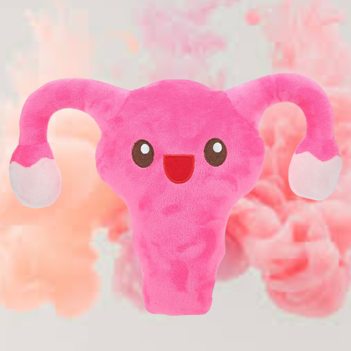 Soft Uterus Stuffed Plush Toy Bachelorette Party Funny Ideas Novelty Item 8714273055811| eBay
