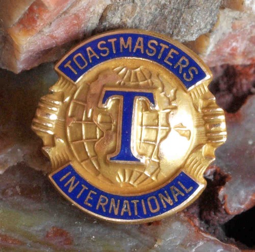 VINTAGE ENAMELED GOLD FILLED TOASTMASTERS INTERNATIONAL SCREW BACK PIN ...