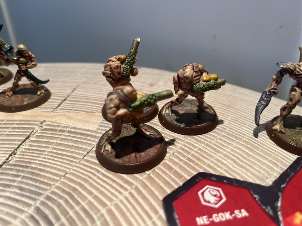 Heroscape Marro Army Lot Ne-Gok-Sa Warriors Stingers Drudge Nagrubs ...