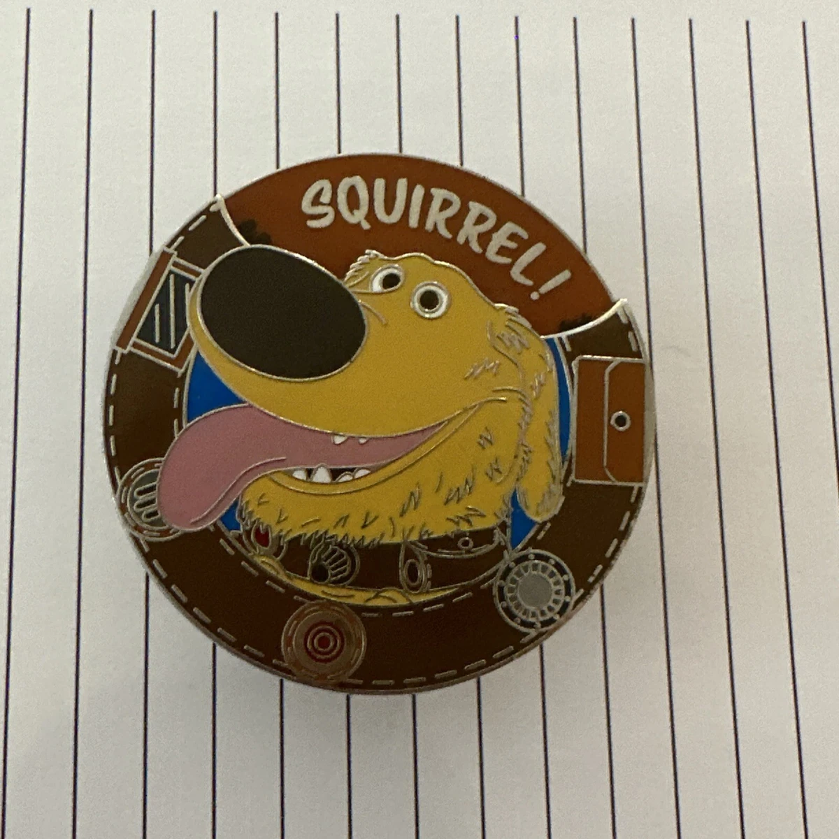 Squirrel Dug