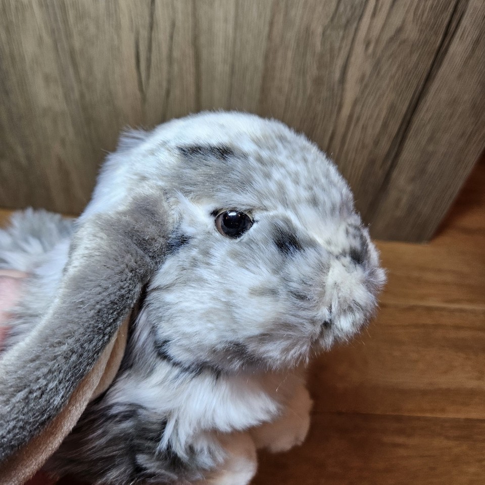Living Nature Grey Dutch Lop Ear Rabbit Bunny White Medium Soft Plush ...