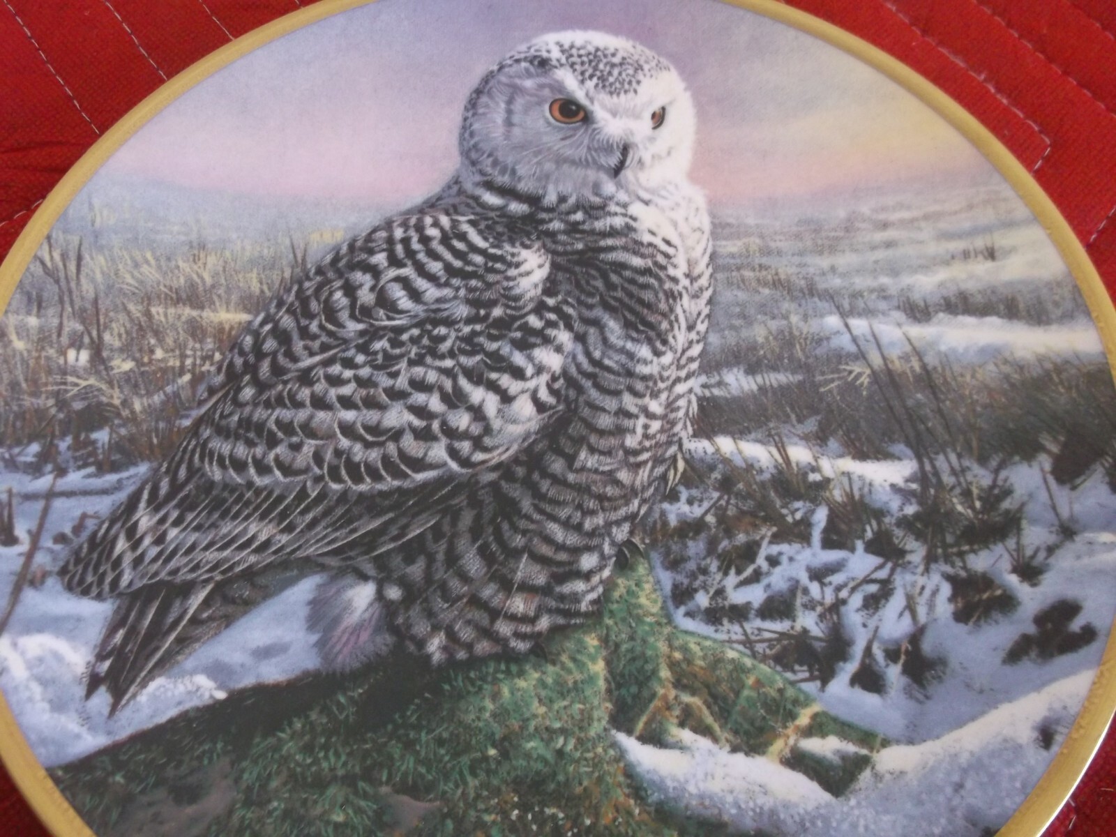 NOBLE OWLS OF AMERICA MORNING MIST SNOWY OWL COLLECTORS PLATE 22 KARAT ...