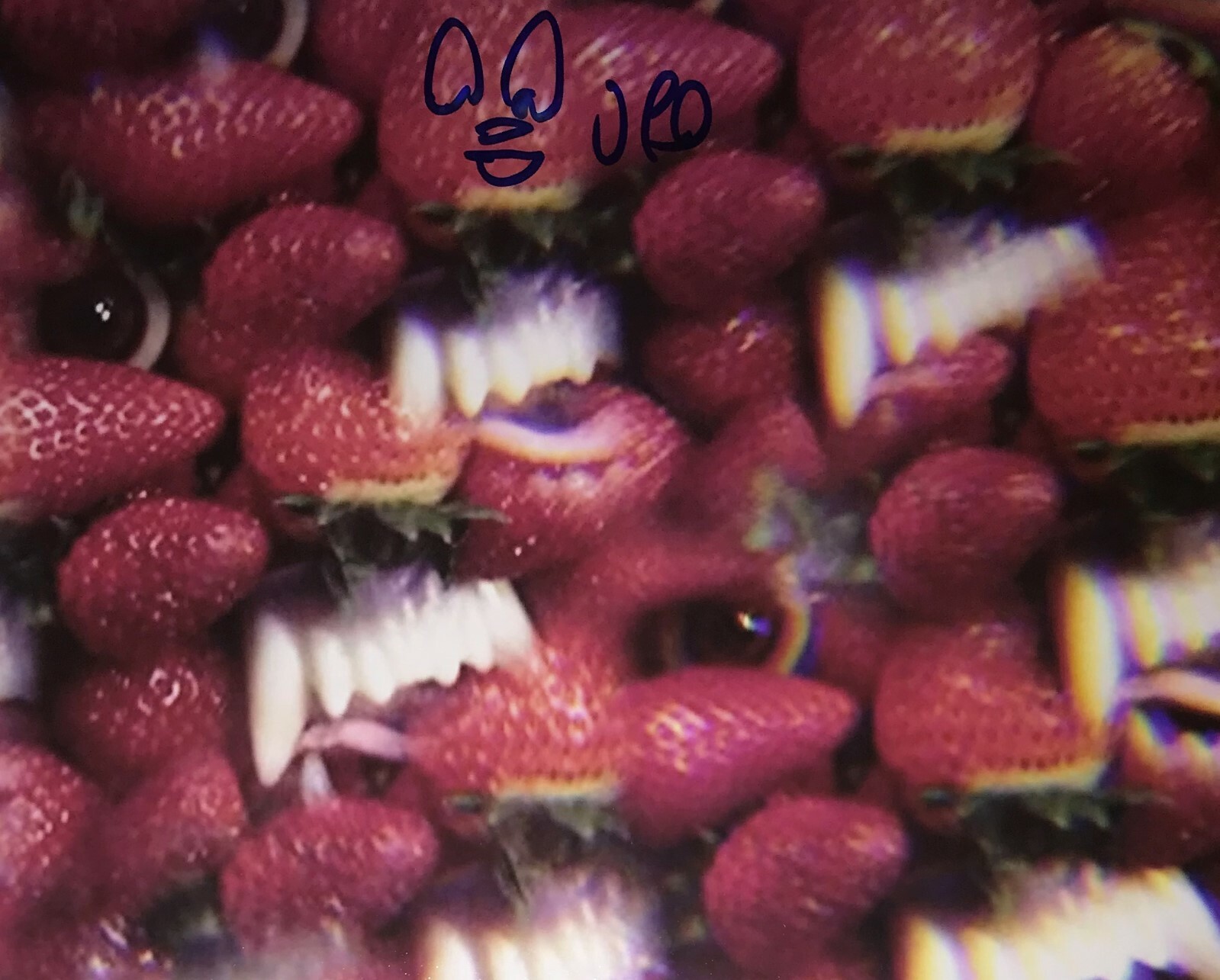 John Dwyer Thee Oh Sees Face Stabber Smote Reverse Orc Signed 8x10 ...