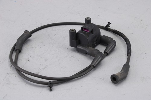 2015 Harley Road Glide IGNITION COILS + WIRES 31600107 32014-09A | eBay