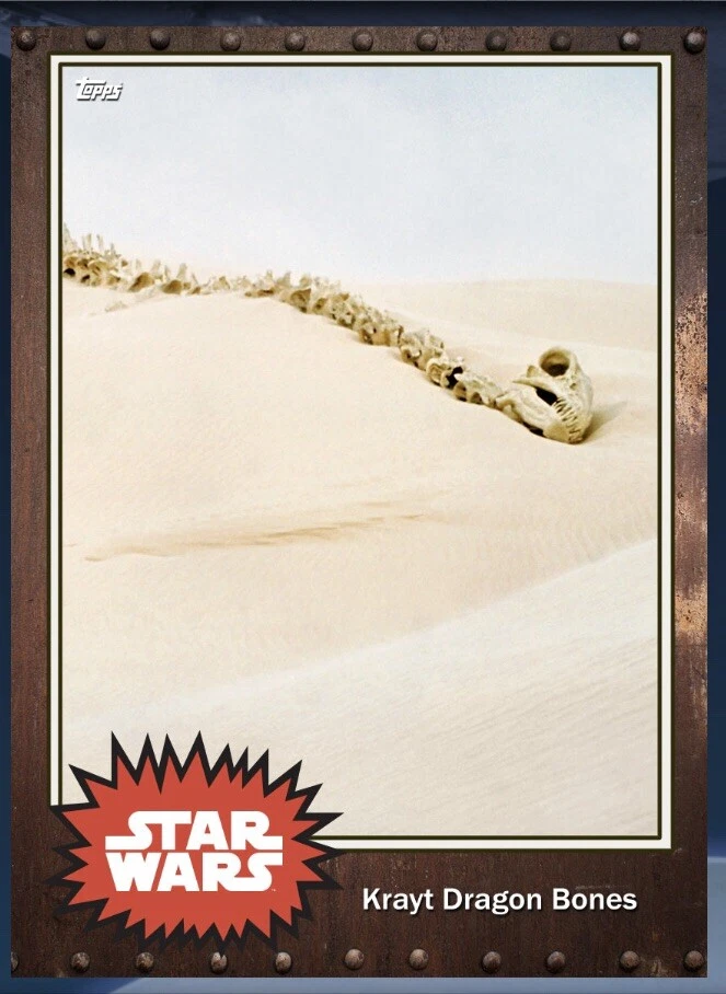 Krayt Dragon Skeleton