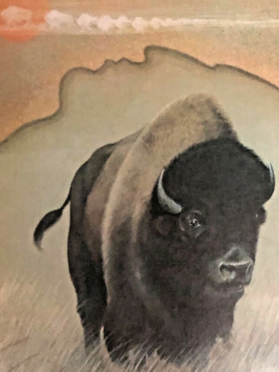 Native American Bison Art