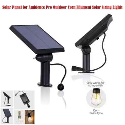 Ambience Pro 2-Watt Solar Panel for Outdoor Corn Filament Solar String ...