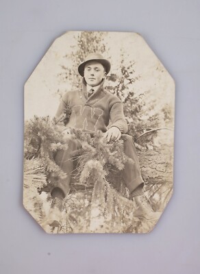 Vintage Real Photo Postcard RPPC Stump Sitting University of Wisconsin ...