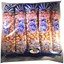 8x Arachi Japanese Cocktail Style Peanuts 10-pcs (Cacahuate Estilo ...