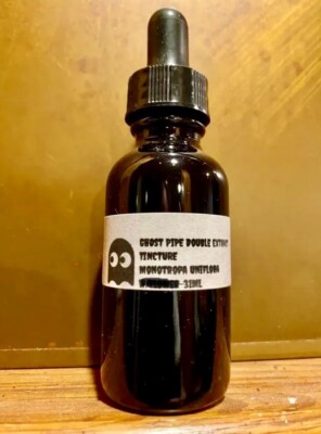 Ghost Pipe Double Tincture monotropa uniflora flower 31ml. Pain ...
