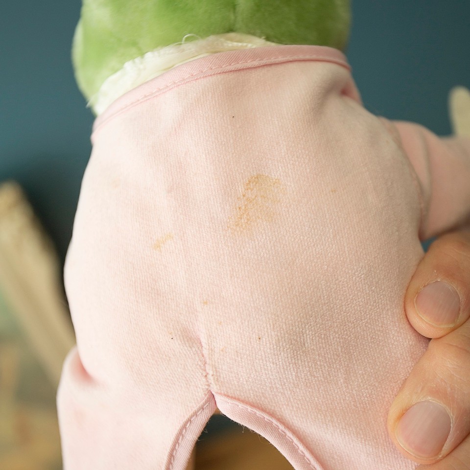 Vtg Beatrix Potter Eden Plush Mr. Jeremy Fisher Frog Stuffed Animal | eBay