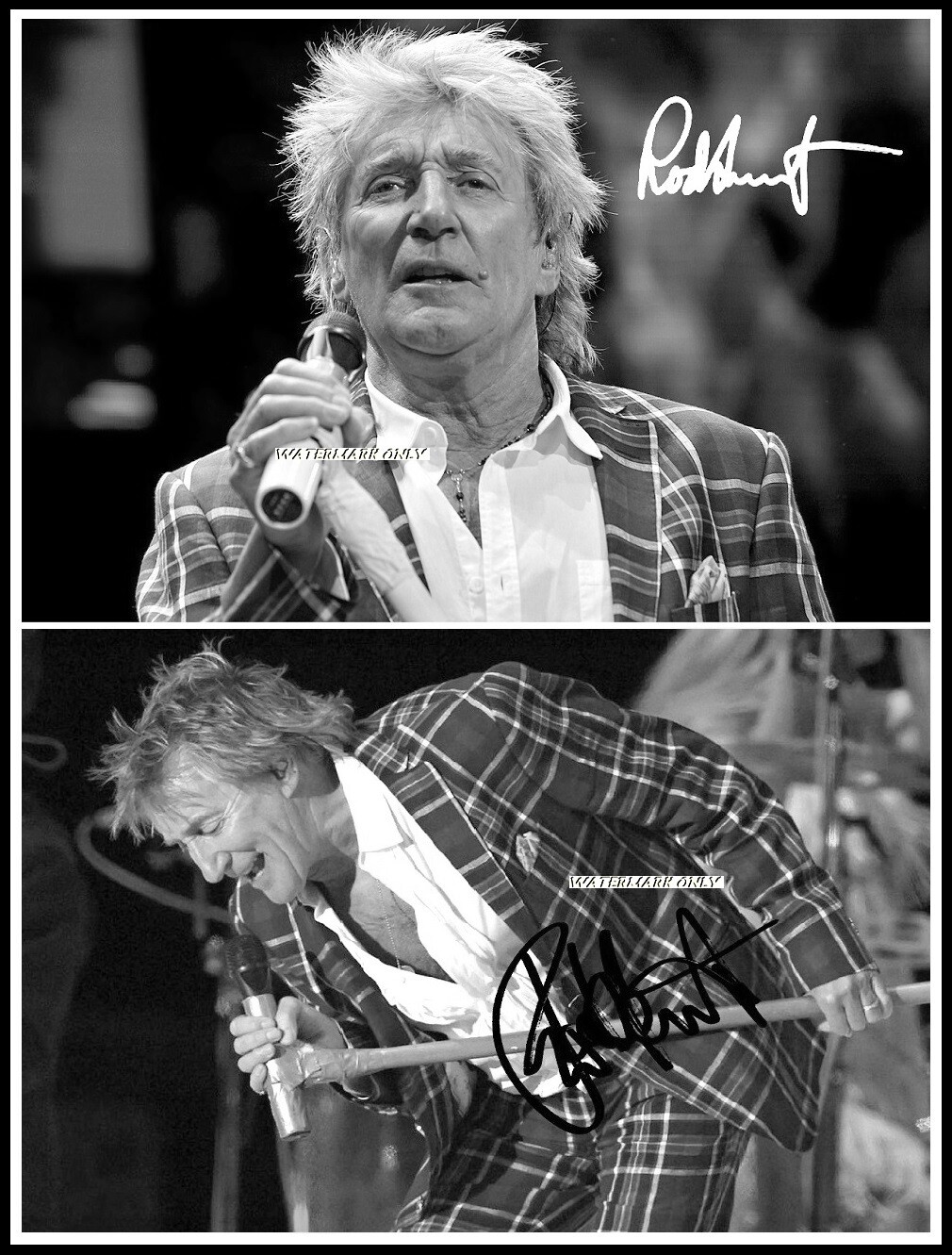 Rod Stewart, Autographed, Cotton Canvas Image. Limited Edition (RS-311 ...
