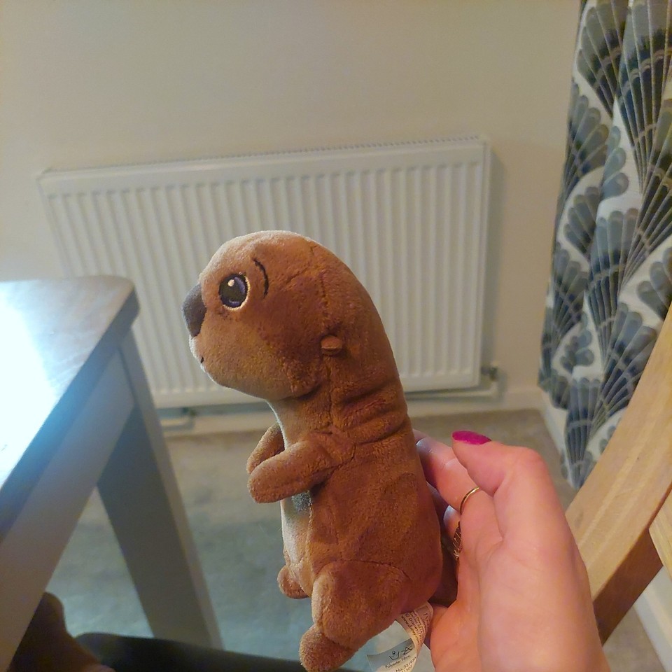 Finding dory disney Posh Paws International Otter plush soft toy disney ...