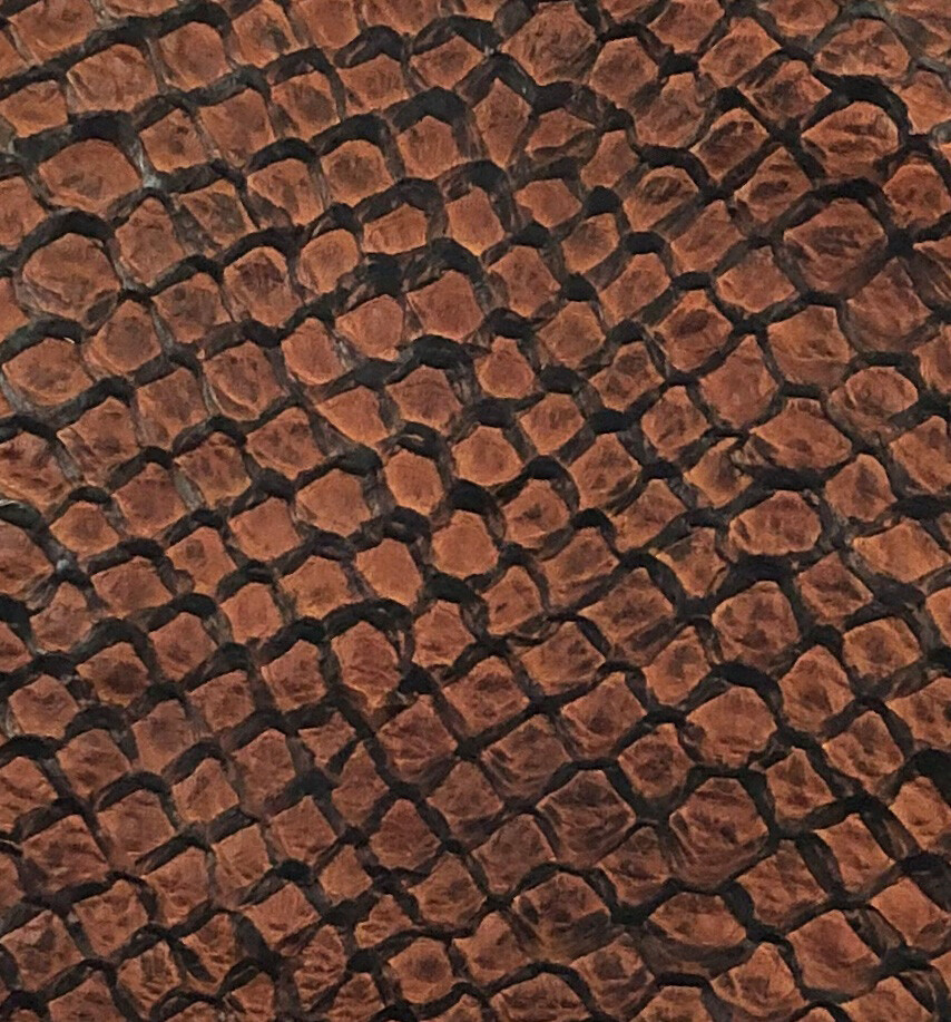 Pirarucu skin, Arapaima skin large wild (INVERTED SCALES) 12 colors | eBay