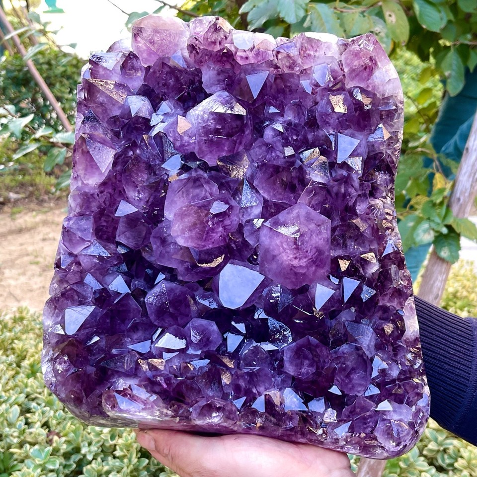 22.55LB TOP !Natural Amethyst Cluster Quartz Crystal Point vug mineral ...