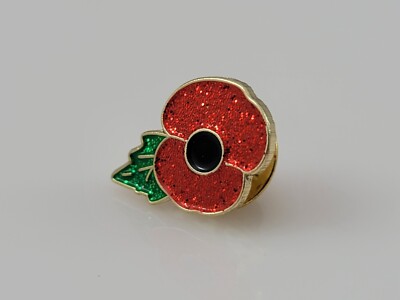 Remembrance Veterans Red Glitter Poppy Enamel Pin | eBay