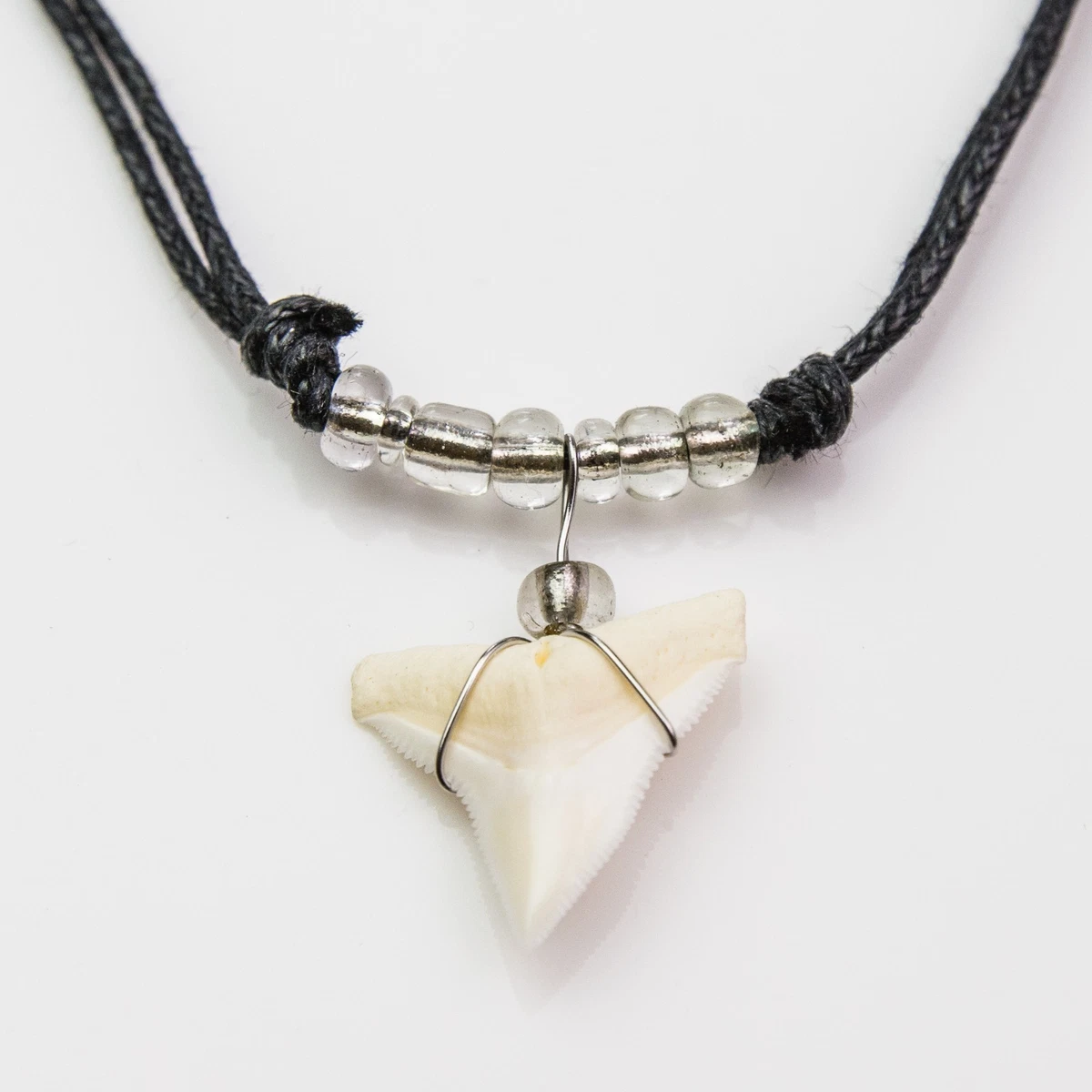 Bull Shark Tooth Necklace