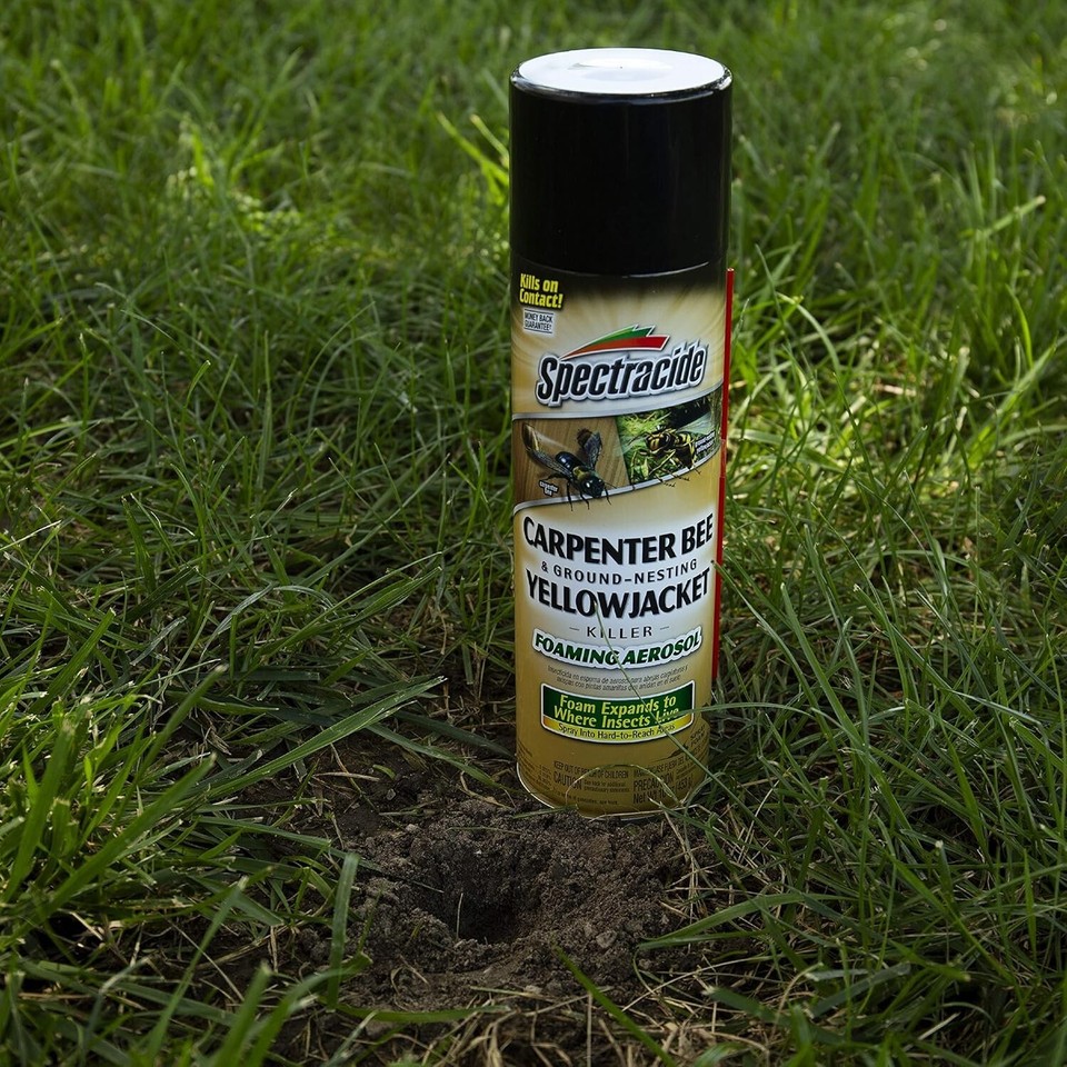 Spectracide Carpenter Bee & Nesting Yellowjacket Killer Spray 16Oz Each ...