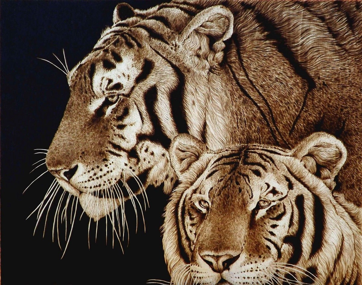 Beautiful Paintings Of Big Cats Big Cat Drawing By Lena Auxier Fine