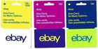 gift cards EBAY auction collectible *no value / balance* | eBay