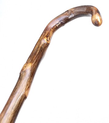 Vintage Antique 1800’ Knobby Shaft Crook Handle Walking Stick Cane Stag ...