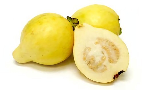 Guava - White Flesh - Small - Fresh Exotic Fruit from Egypt. | eBay UK
