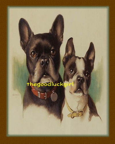 Vintage Boston Terrier Art