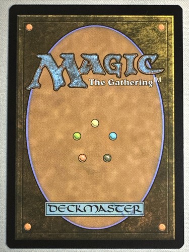 MTG / Enduring Curiosity / DSK / #0371 (Extended Art) / Regular / Rare ...