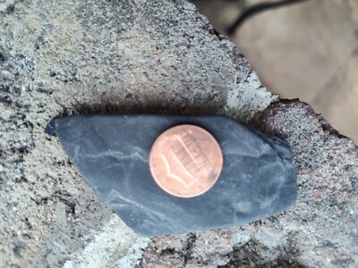 Coal Shale Mineral Stone rock pebble Specimen 20 gram Black Slate | eBay
