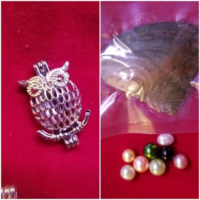 OWL Pearl Cage Locket BIRD Pendant Charm Silver Plated & Oyster Pearl ...