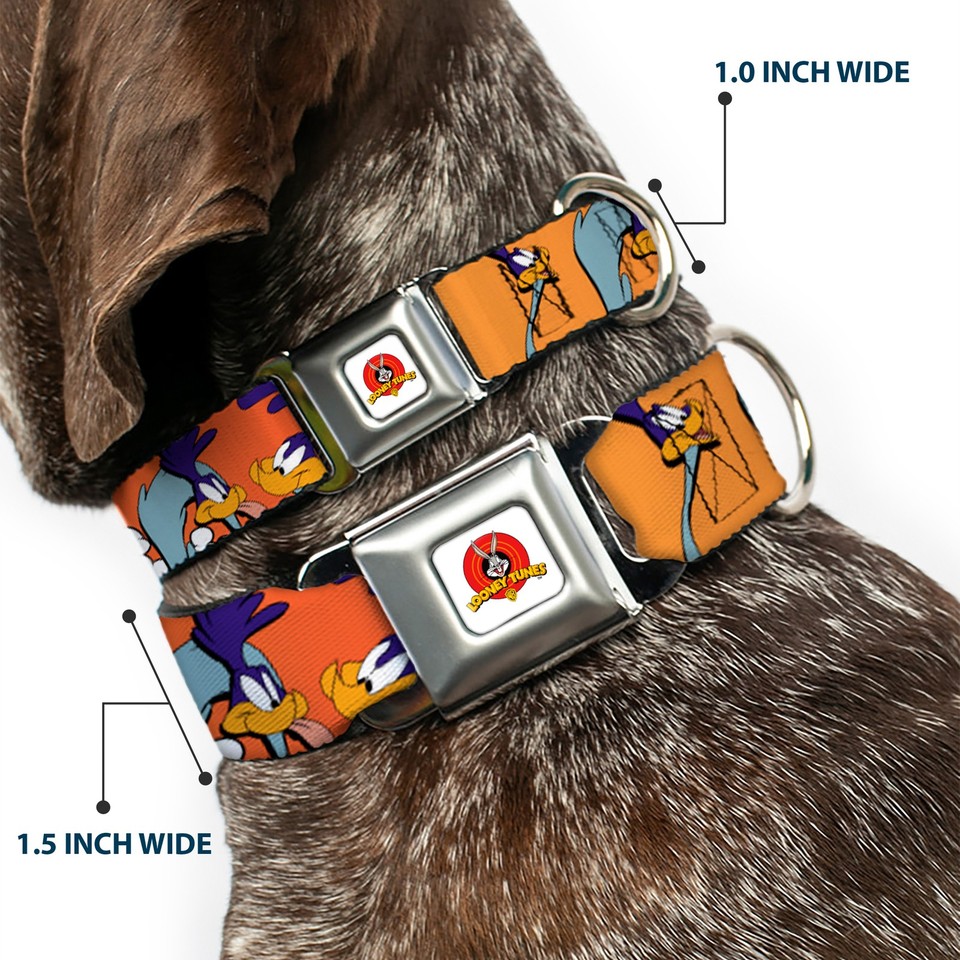Dog Collar LTA-Looney Tunes Logo White ROAD RUNNER w/Road Runner Pos ...
