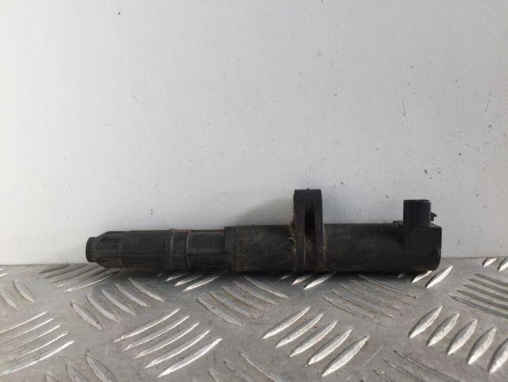 RENAULT Grand Scénic II JM0/1 Hochspannung Zündspule 2303590382 ...