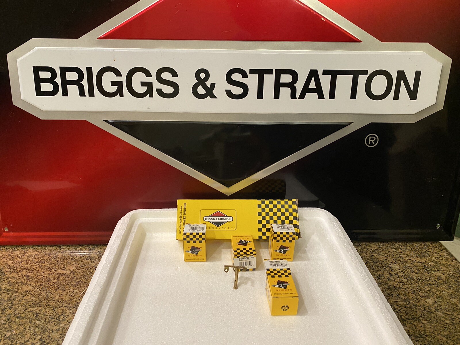 NEW Briggs & Stratton Racing Raptor 555100 | Grelly USA