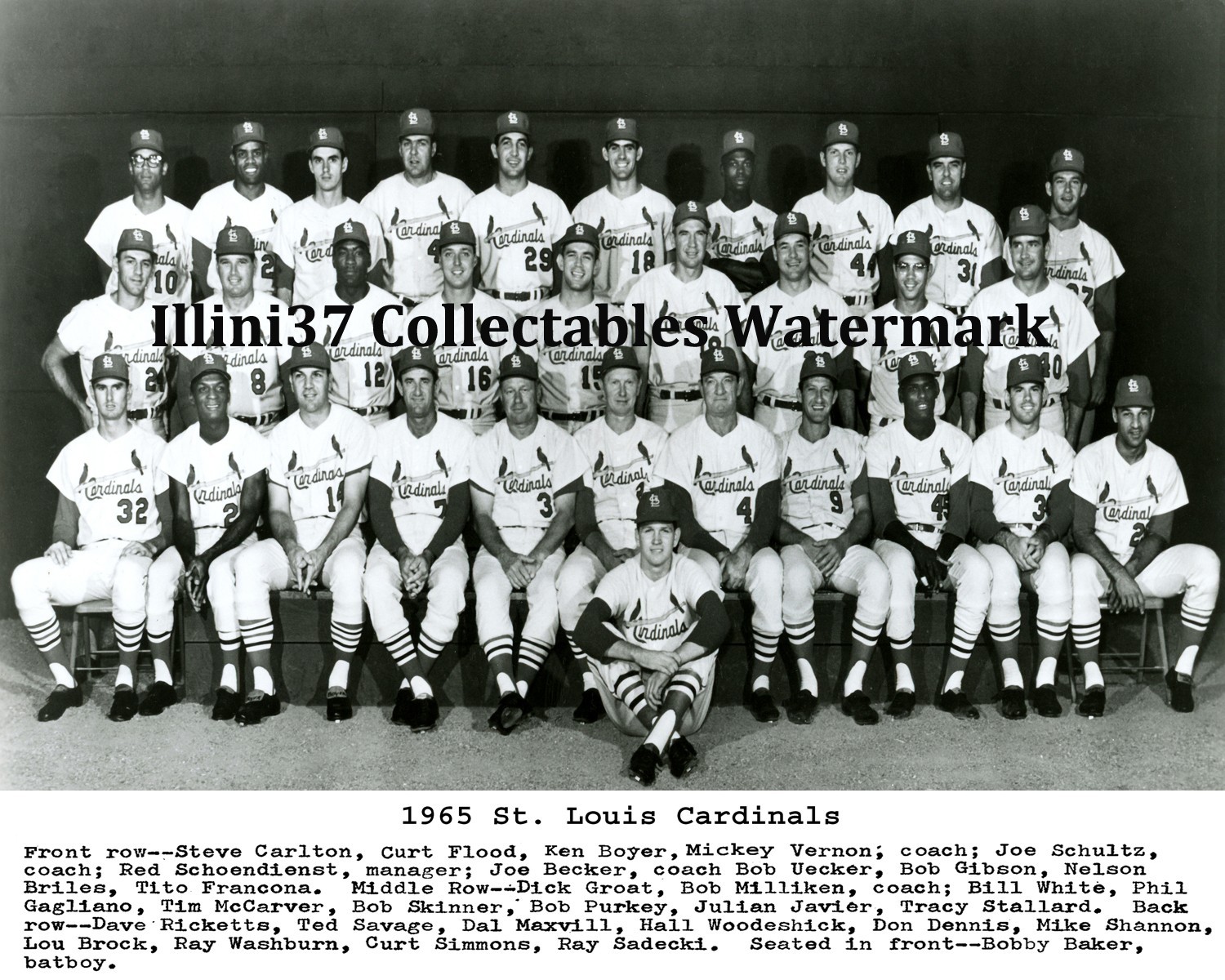 1965 ST. LOUIS CARDINALS BASEBALL 8x10 TEAM PHOTO | eBay