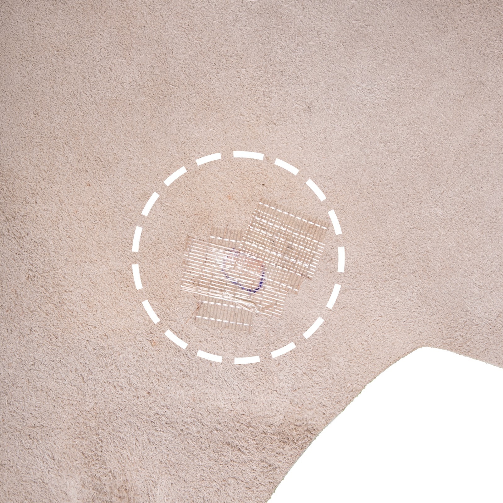 Cow Hide Rug Brown 5x5 ft Cow Skin Animal Hide Hair on Leather Cowhide ...