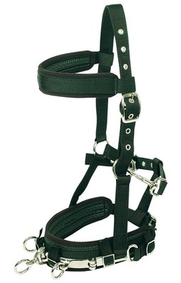 Equi Prene Horse Lunge Cavesson Halter Metal on Nose and Padded Full ...