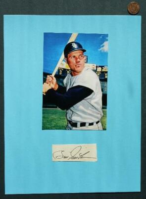 1961-76 Detroit Tigers 11 time allstar Bill Freehan signed autograph ...
