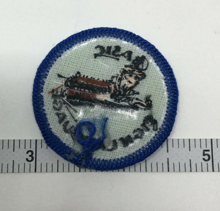 PATCH GSA Girl Scouts Basic Sign Language Hands Arms Blue Green Small ...