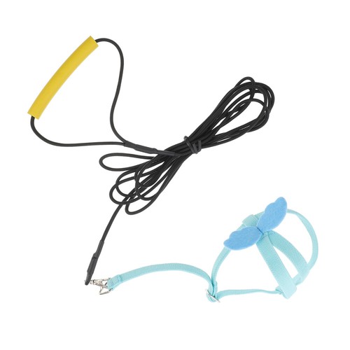 Harnais De Conure Perruche Corde Volante Perroquet Laisse Volaille ...