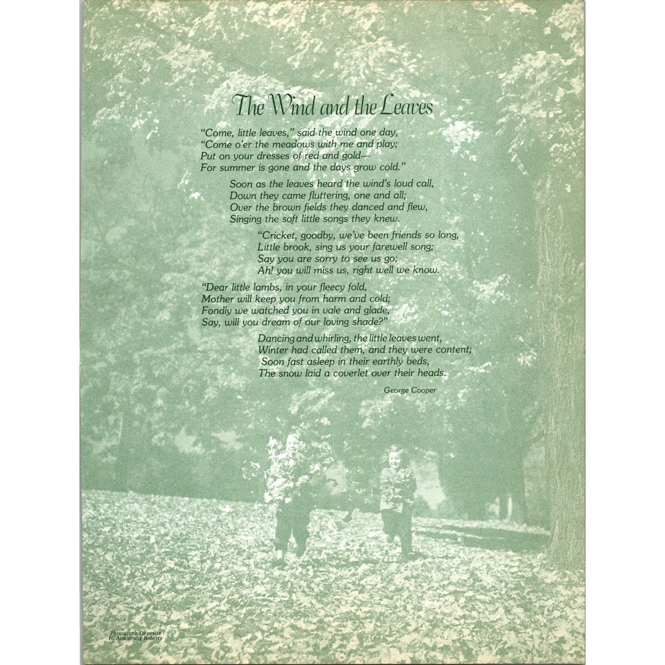The Wind and The Leaves George Cooper 1970s Poem Retro Kitsch Wall Art ...