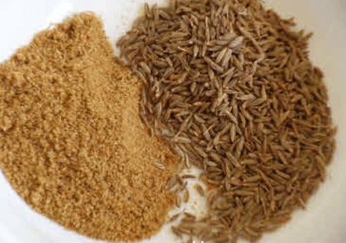 Dry cumin , Kemun , Kamoun Kreuzkümmel Comino blanco Kimyon Zira Kamun ...