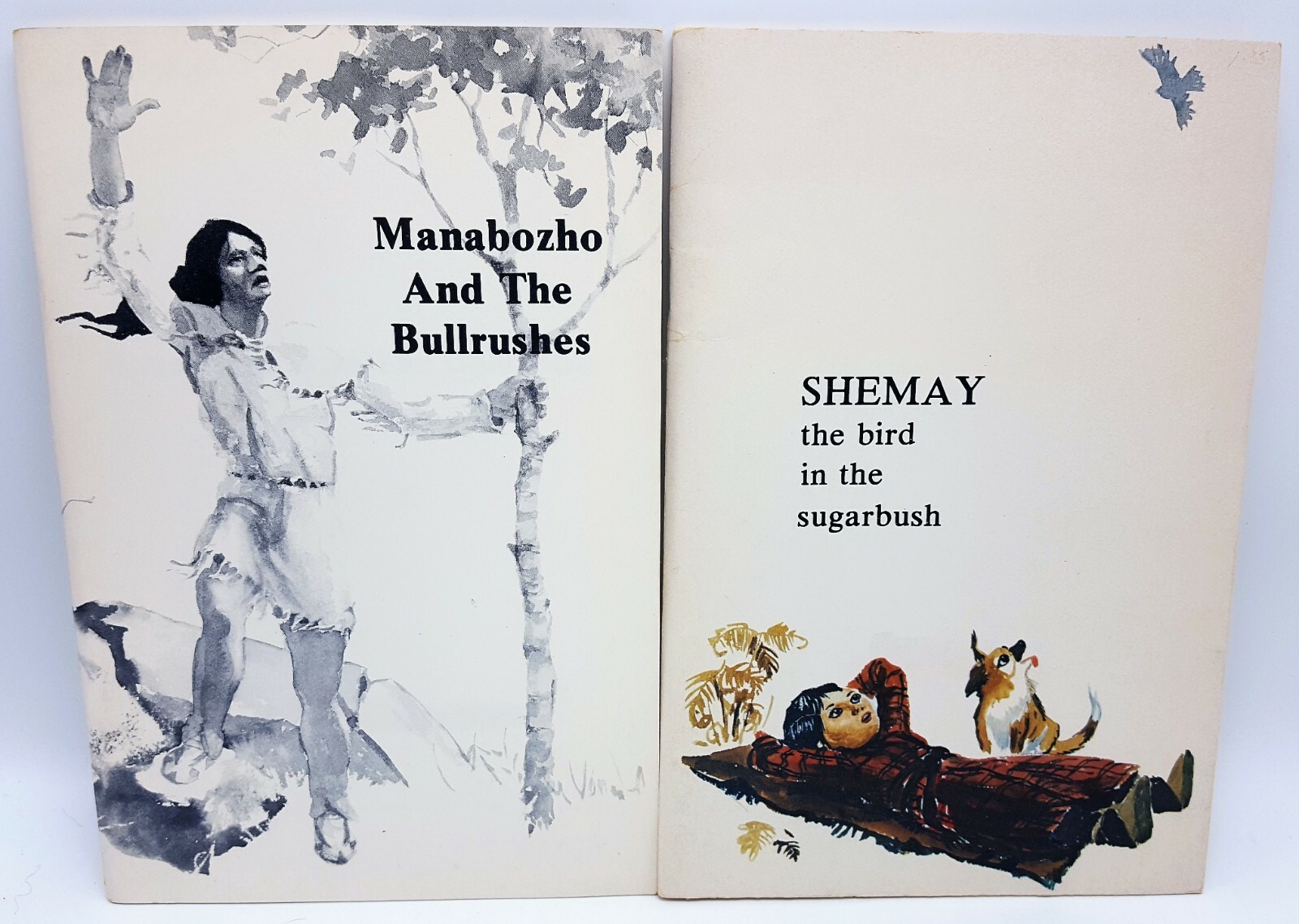Shemay & Manabozho And The Bullrushes David Martinson Native American ...