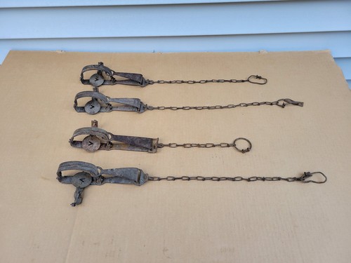 Lot of 4 Oneida Victor No. 1 Traps. 3 different styles. | eBay