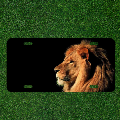 Custom Personalized License Plate Auto Tag With Lion King Add Names | eBay