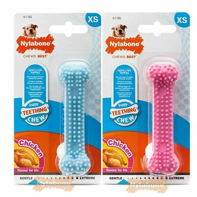Nylabone Puppy Chew Teething Soft Bone Chicken, Petite | eBay